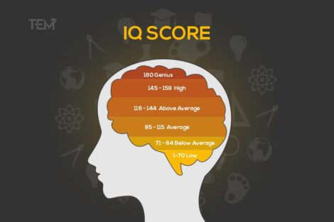 Signs of Intelligence | The Definitive Guide 2020