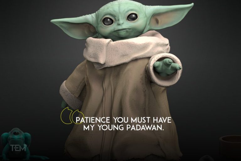 25 Motivational Yoda Quotes to Deal with Hard Times