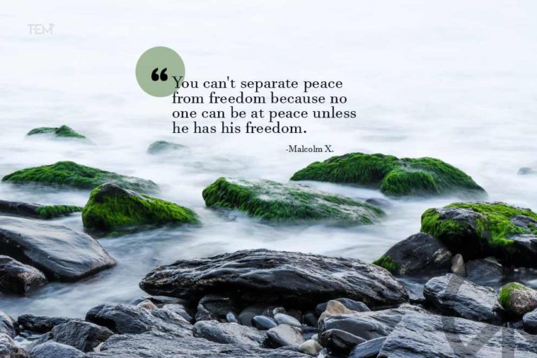 28 peace quotes to inspire you and calm your mind