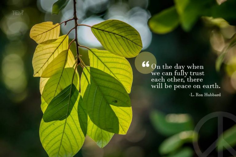 28 peace quotes to inspire you and calm your mind