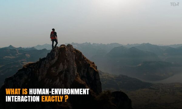 Everything you need to know about human environment interaction