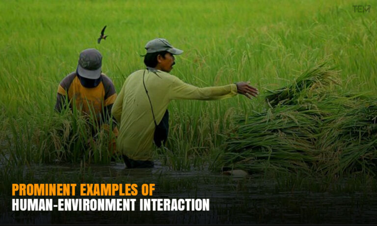 Everything you need to know about human environment interaction