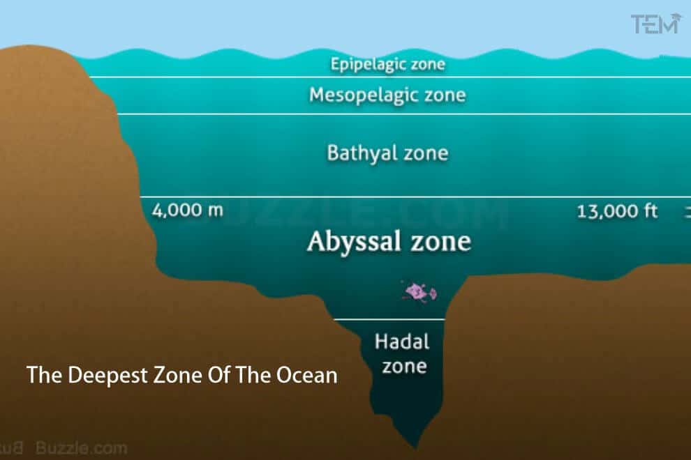 Reasons Behind Why Did NASA Stop Exploring The Ocean 2023 Reasons Behind Why Did NASA Stop Exploring The Ocean 2023