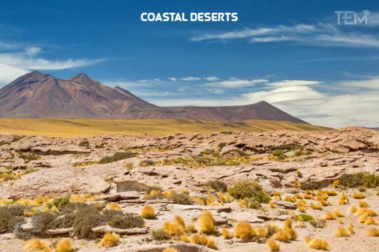 5 Desert Types to Clear your Misconceptions about Deserts