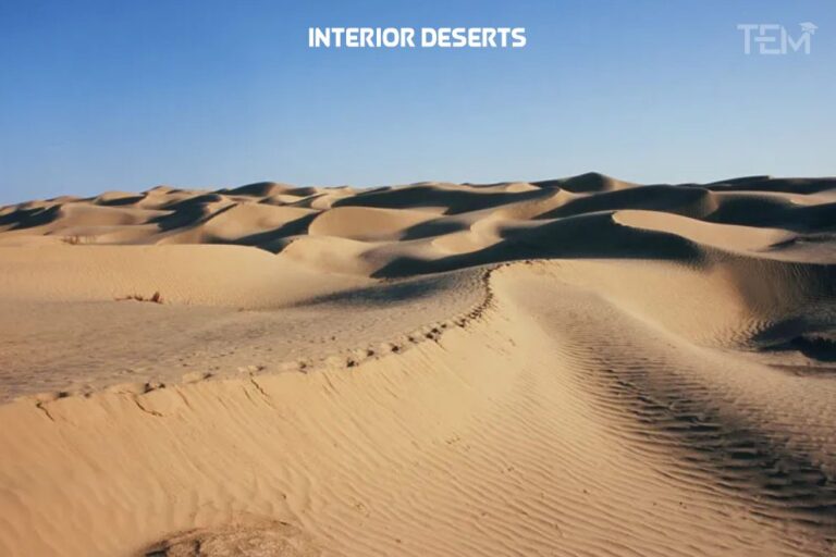 5 Desert Types to Clear your Misconceptions about Deserts