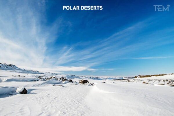 5 Desert Types to Clear your Misconceptions about Deserts