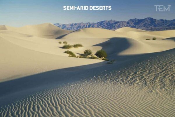 5 Desert Types to Clear your Misconceptions about Deserts