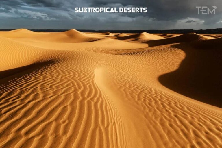 5 Desert Types to Clear your Misconceptions about Deserts