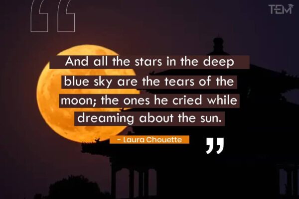 Quotes about the Moon to light up Your Day
