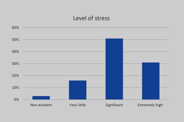 Teachers’ Stress: Understanding Its Causes and Effects