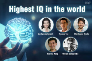 Exploring the Highest IQ in the World: More Than Just a Number