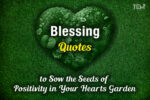 Blessings Quotes: Crafting a Symphony of Joy and Gratitude