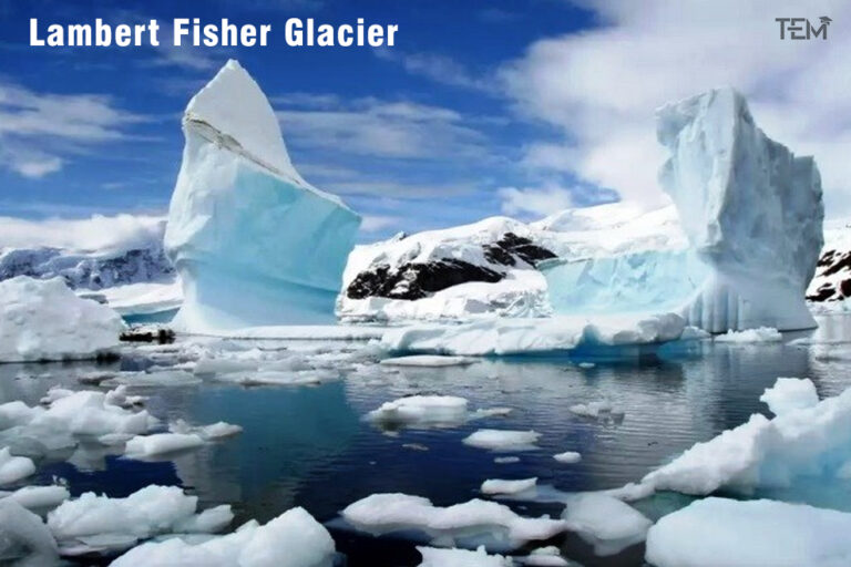 Largest Glaciers in the World [Updated List of 2024]