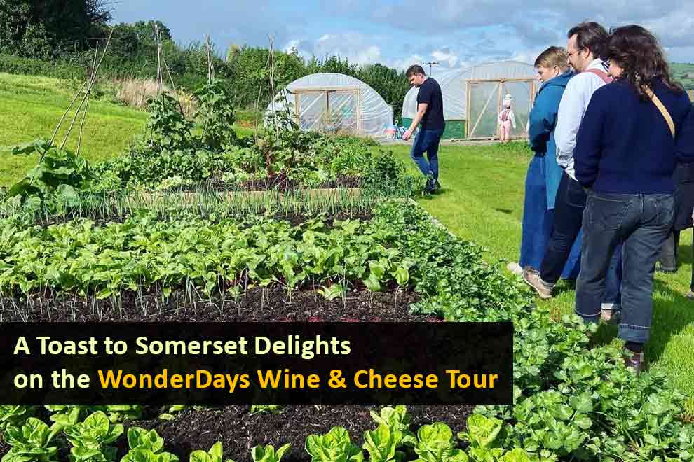 A Toast to Somerset Delights on the WonderDays Wine & Cheese Tour