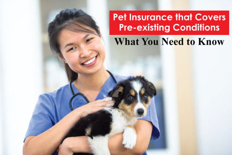 Pet Insurance that Covers Pre-existing Conditions: What You Need to Know